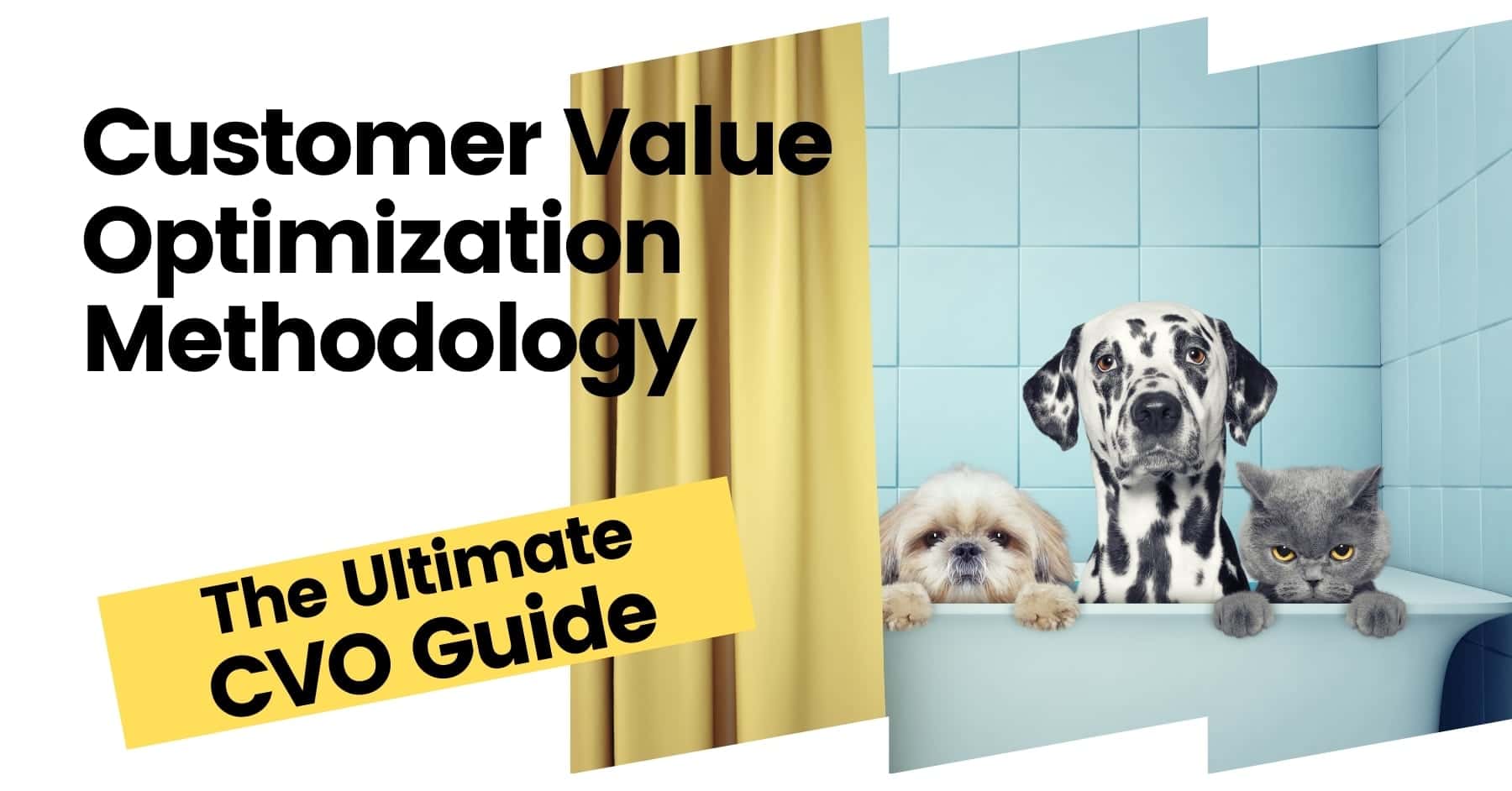 Customer Value Optimization Methodology