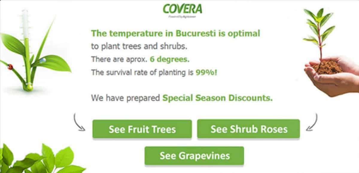 What is Dynamic Content? Definition & Examples- Omniconvert